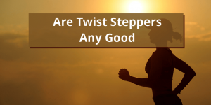 Are Twist Steppers Any Good | WiseFuzz